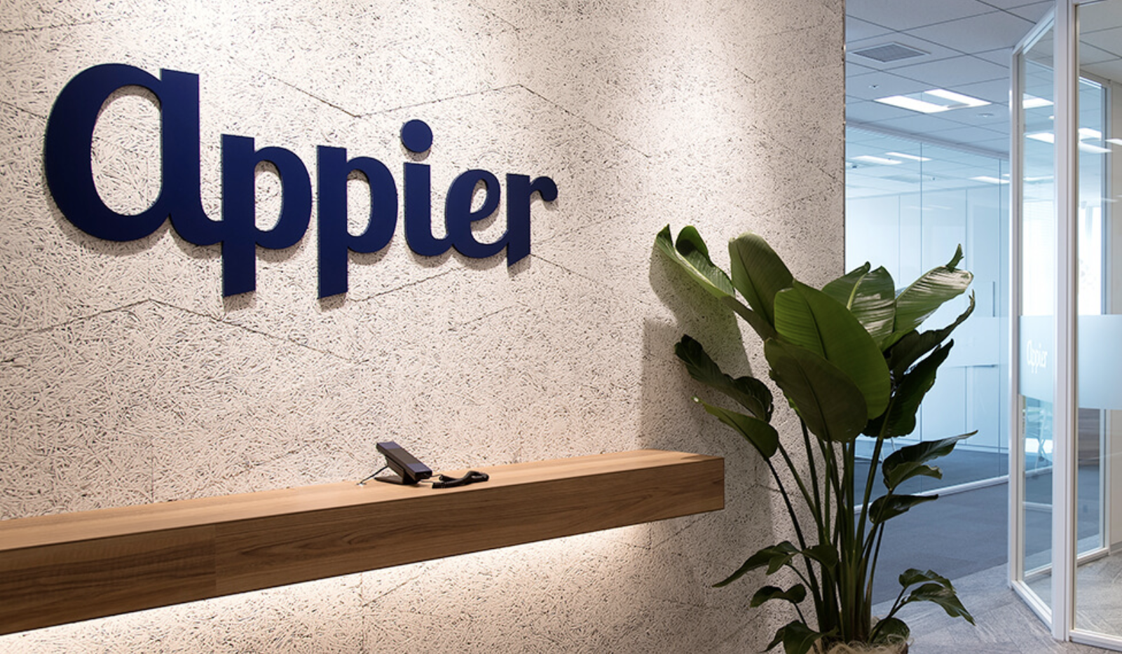 Taiwan's hottest AI startup Appier looking to expand in Asia